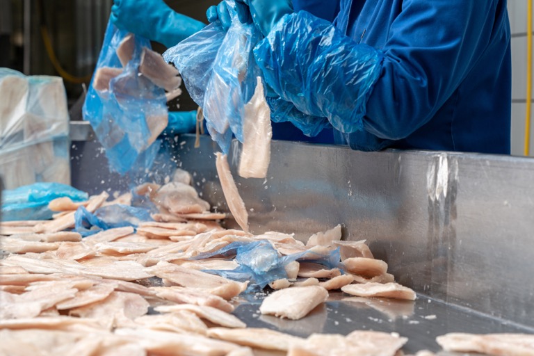 Verpakkingsoplossingen voor vis, schaal- en schelpdieren - Diepvries Urk