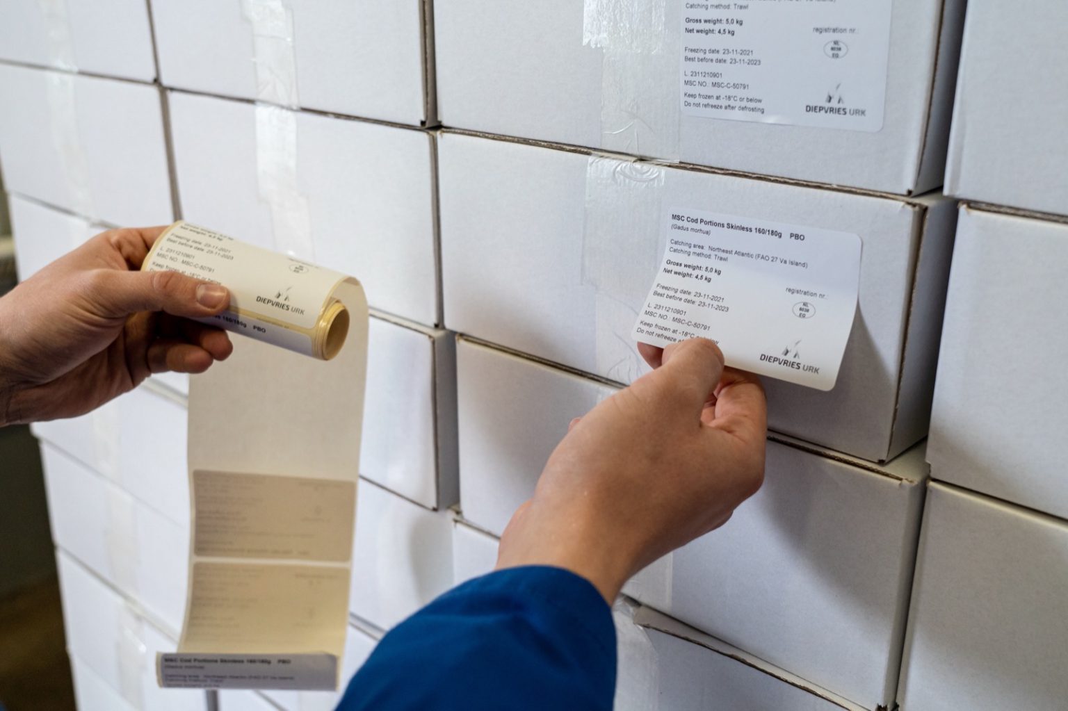 Verpakkingsoplossingen voor vis, schaal- en schelpdieren - Diepvries Urk