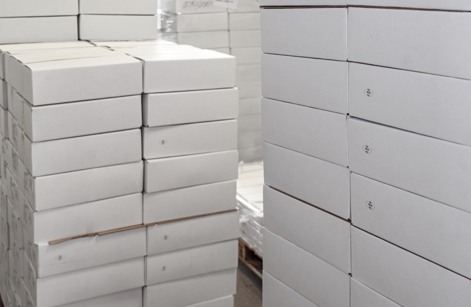 Verpakkingsoplossingen voor vis, schaal- en schelpdieren - Diepvries Urk